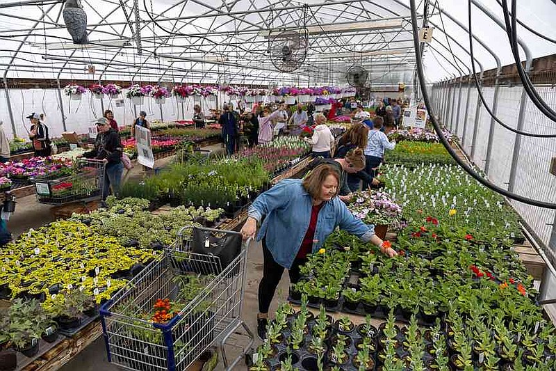Serious gardeners get started early | Jefferson City News Tribune