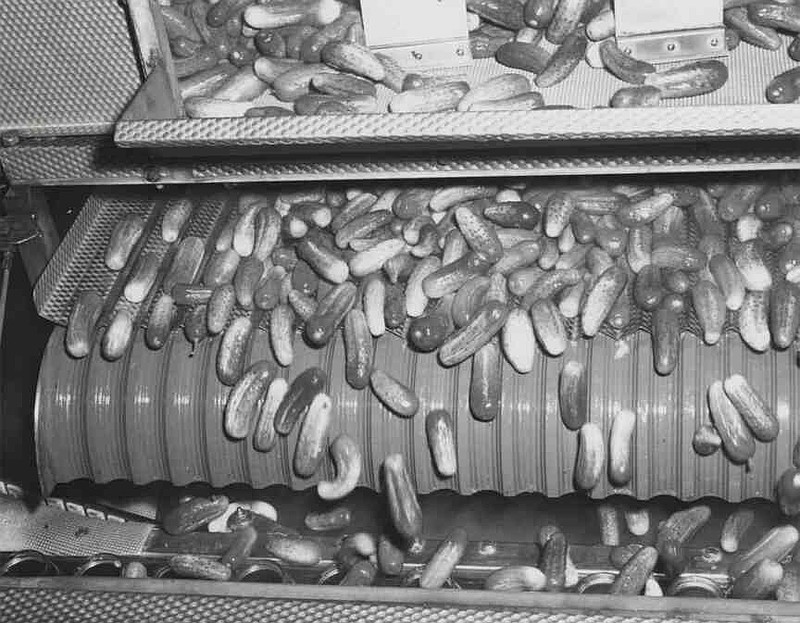 ARKANSAS A TO Z: Atkins Pickle Co. once flourished in Pope County | The ...