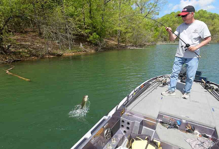 Bass go shallow and deep when Beaver Lake levels rise | Westside Eagle ...