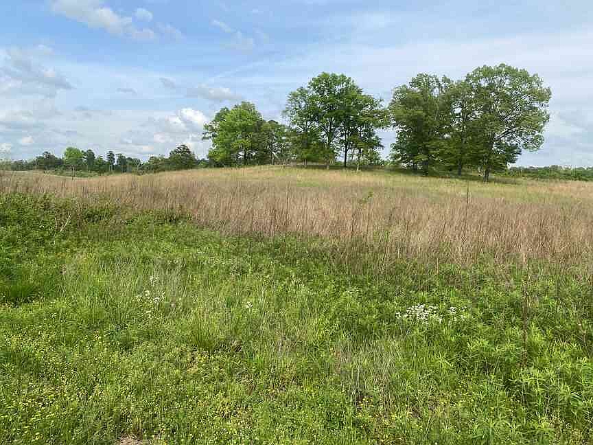 WATCH | Prairie Ridge Preserve boasts variety of wildflowers | Hot ...