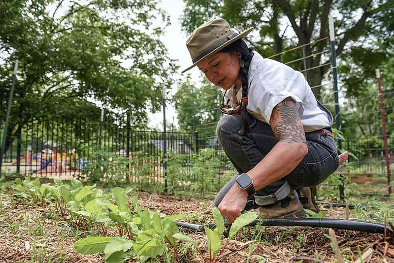 School receives grant for garden | The Arkansas Democrat-Gazette ...