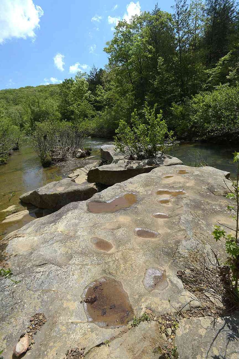 Waterfall the centerpiece of scenic Kings River Falls Natural Area ...