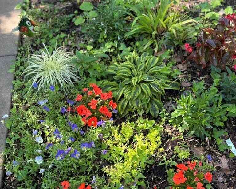 BREAKING GROUND: Spring showers are bringing spring flowers, and ...