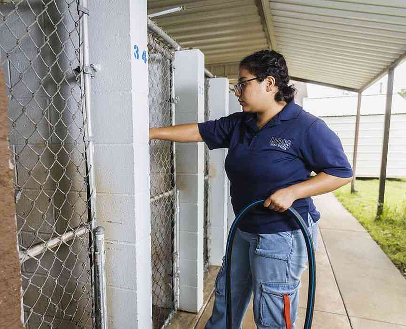 Rogers seeks designs for new animal shelter while repairing current ...