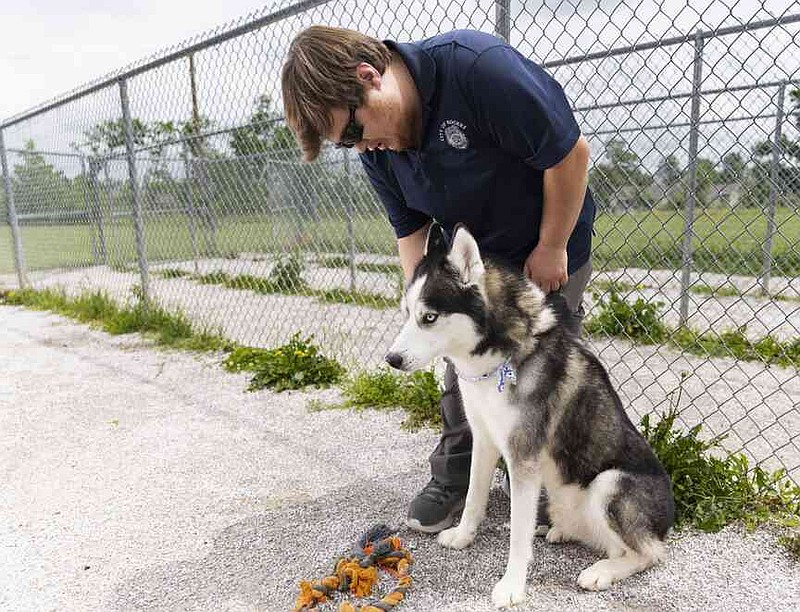 Rogers seeks designs for new animal shelter while repairing current ...