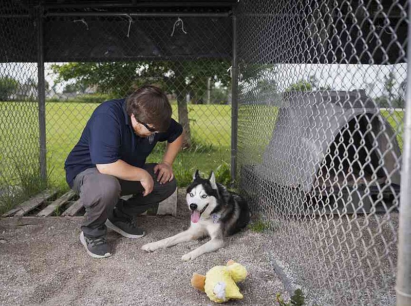 Rogers seeks designs for new animal shelter while repairing current ...