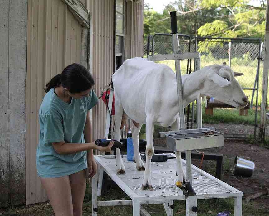 Farm continues to expand business ventures | Westside Eagle Observer