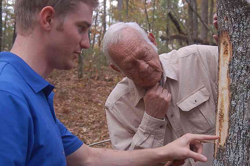 Invasive insect to arrive in Fayetteville | Northwest Arkansas Democrat ...