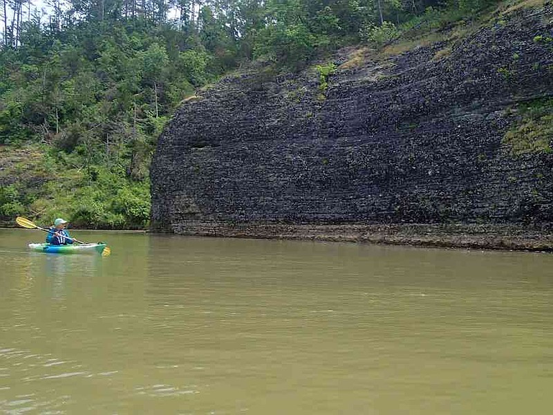 High water turns lowland into swampy wonderland at War Eagle ...