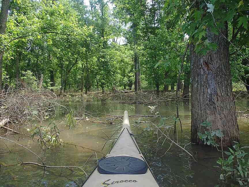 High water turns lowland into swampy wonderland at War Eagle | The ...