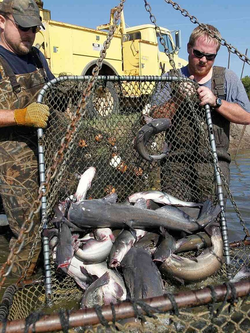 Baxter donates extra fish for pond-stocking | Pine Bluff Commercial News