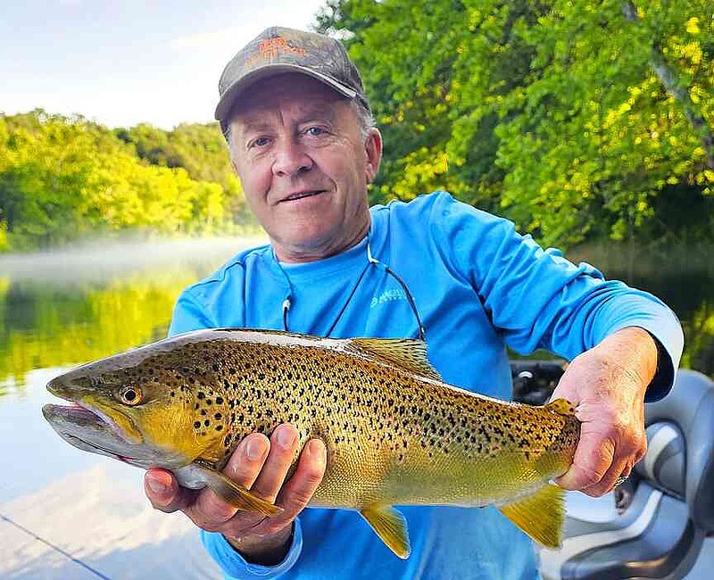 Brown Trout | Northwest Arkansas Democrat-Gazette