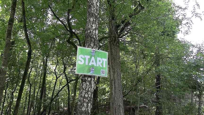 WATCH | Northwoods Dawg Daze 10-week summer trail running, biking ...