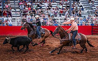 Rodeo siblings Stetson and Ryder Wright wow large crowd at 81st Rodeo ...