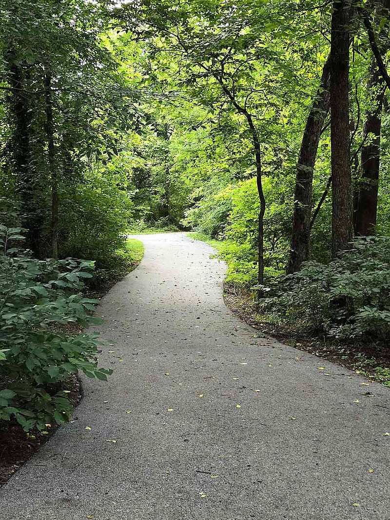 Taking a summertime walk in Gentry’s nature park | Westside Eagle Observer