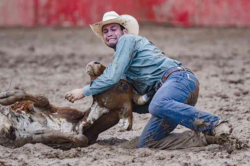 Arkansas cowboys ‘steered’ toward competition at Rodeo of the Ozarks ...