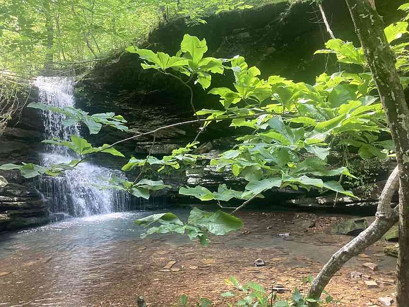 Thrill at the spill: Waterfall hike offers two for one in Newton County ...