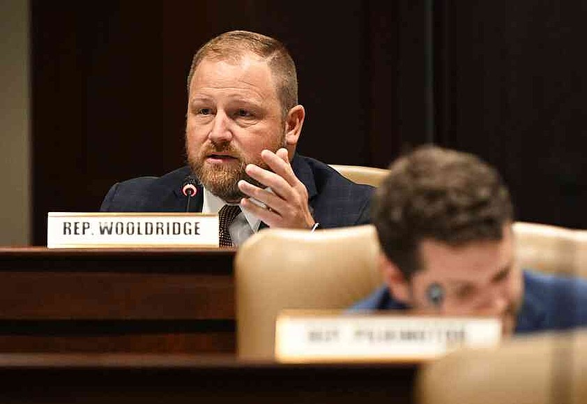 Wooldridge announces run for state Senate | The Arkansas Democrat ...