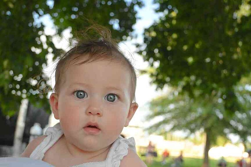 Siloam Springs Fourth of July Block Party | The Herald Leader