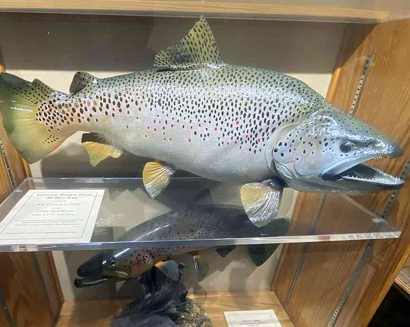 WATCH | Carl Garner Visitor Center is an informative stop in a ...