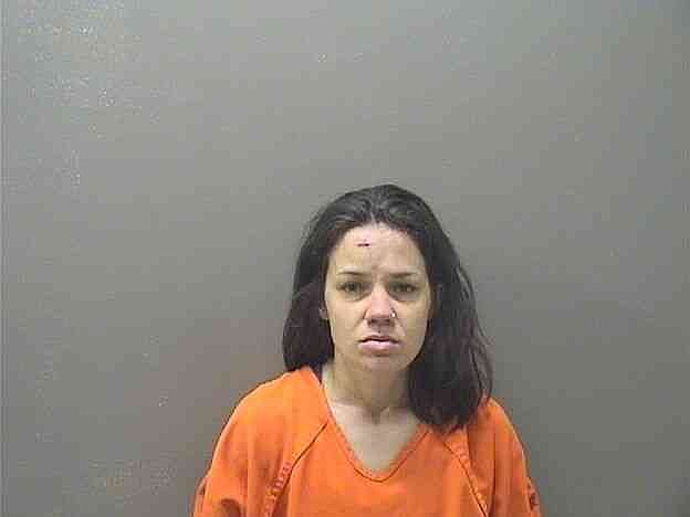 Violation of NCO leads to alleged attack on deputies, woman’s arrest ...