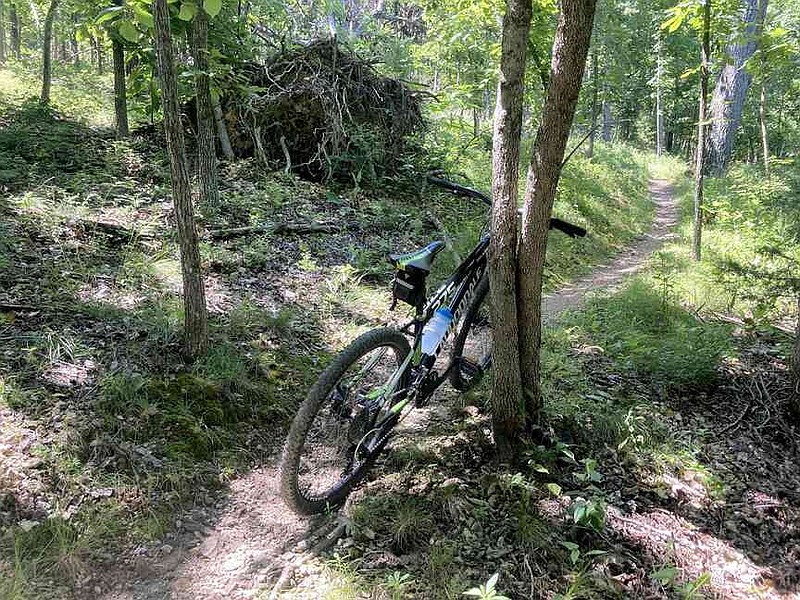 Wolf Den trail at Hobbs, now clear of storm debris, welcomes bikers ...