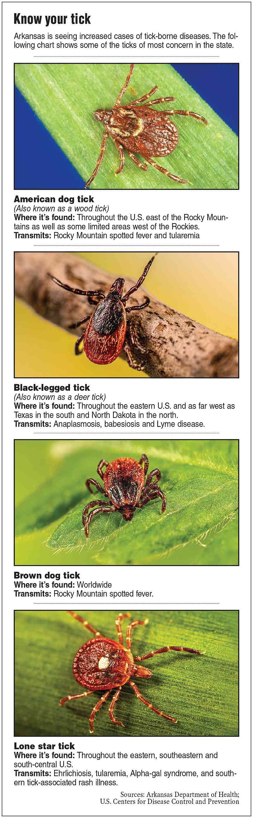 Health officials warn about uptick in tick-borne illnesses with ...