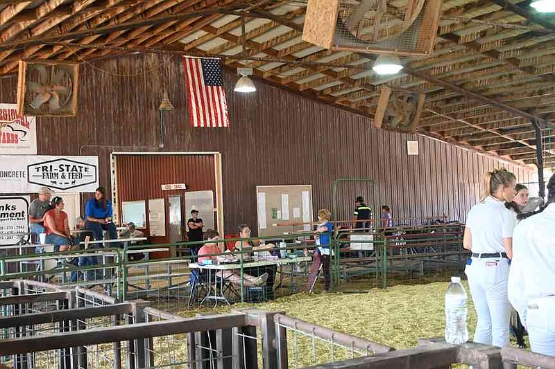 A day at the fair | The McDonald County Press