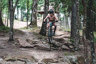 Northwest Arkansas News | Northwest Arkansas Democrat-Gazette