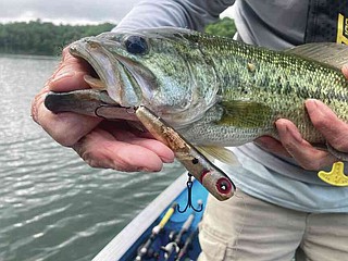 NWA Fishing Report: Head south for stripers, crappie at Beaver Lake ...