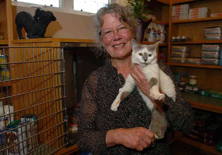 Prairie Grove police captain says back-to-back fatal accidents new for ...