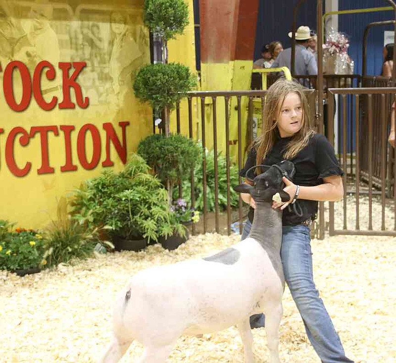 Market Lambs | The Washington County Enterprise Leader