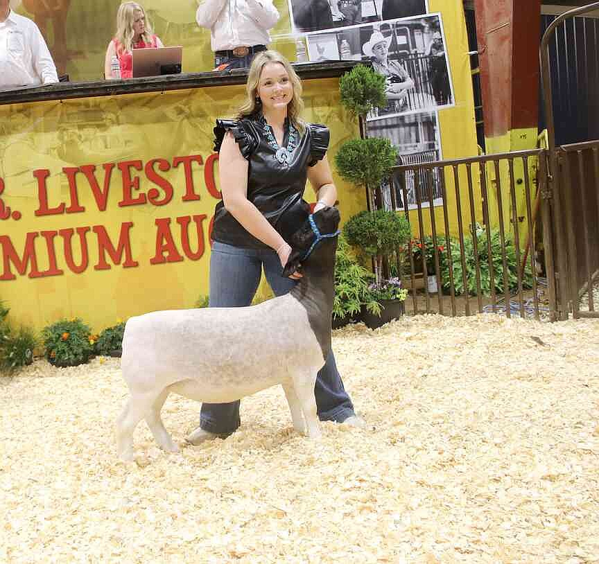 Ewe/Gilt/Rabbit/Goat/Poultry | The Washington County Enterprise Leader