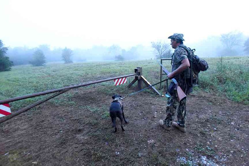 Fast flying doves challenge hunters | The Herald Leader