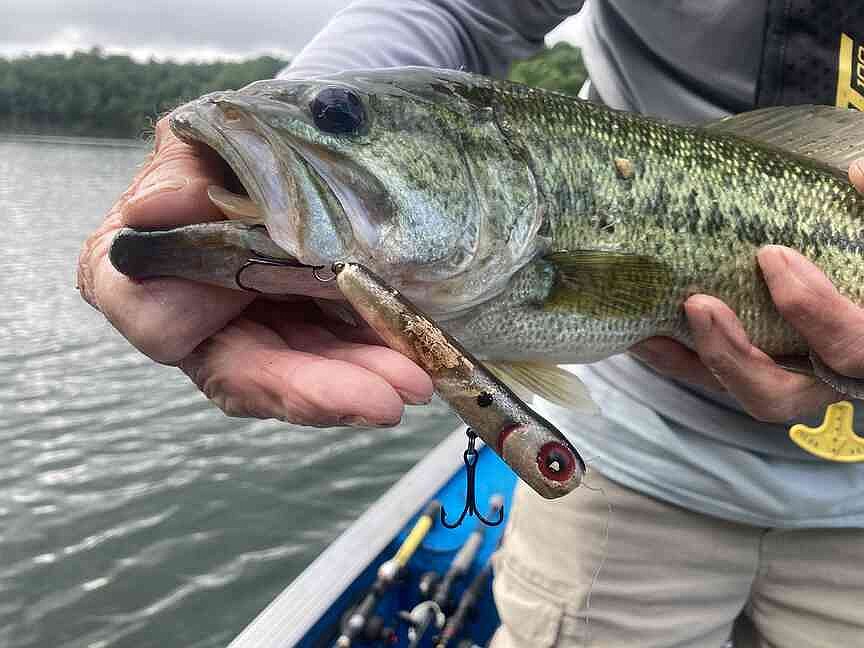 From catching a big bass to learning about turtles or astrophotography ...