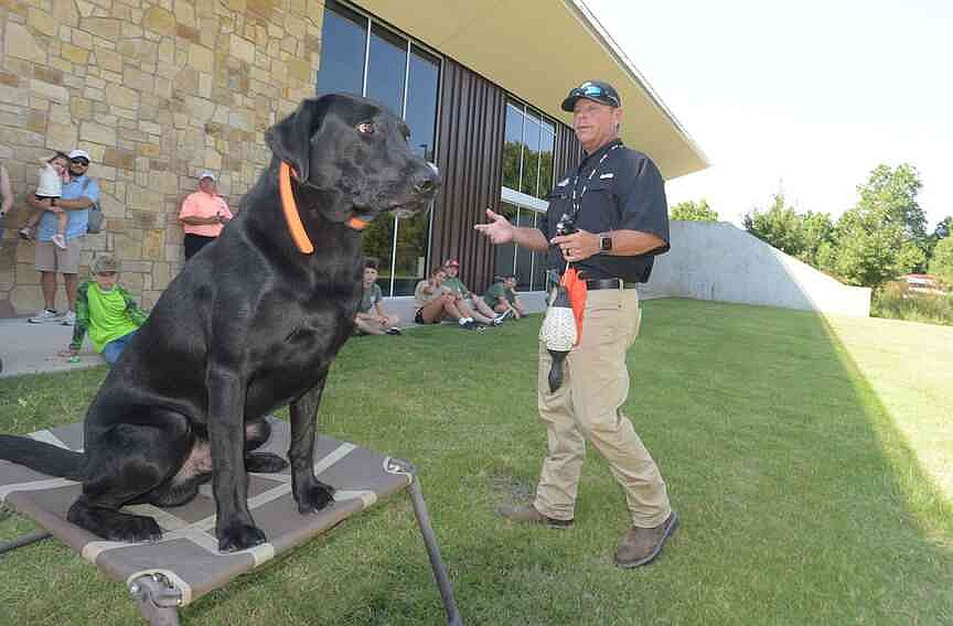 Born to bring ’em back: Pea Ridge trainer, retrievers put on dazzling ...