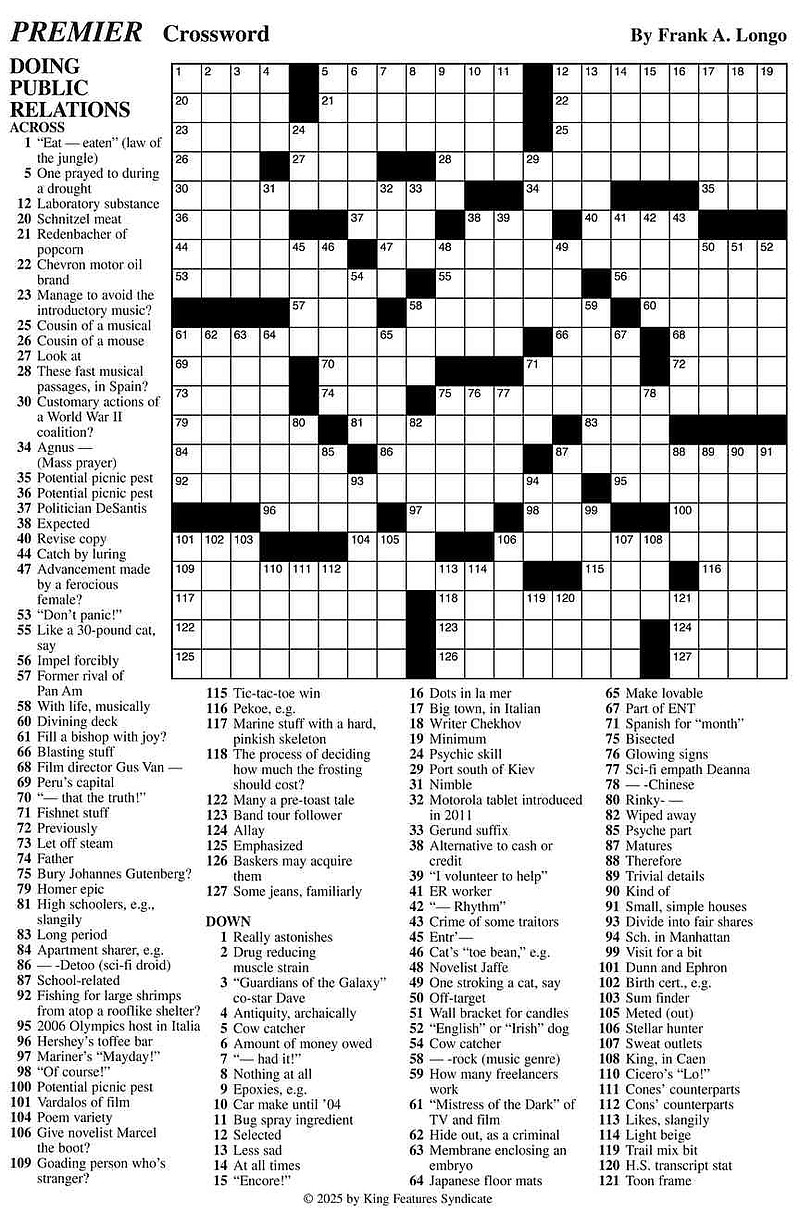 Puzzles Games | Northwest Arkansas Democrat-Gazette