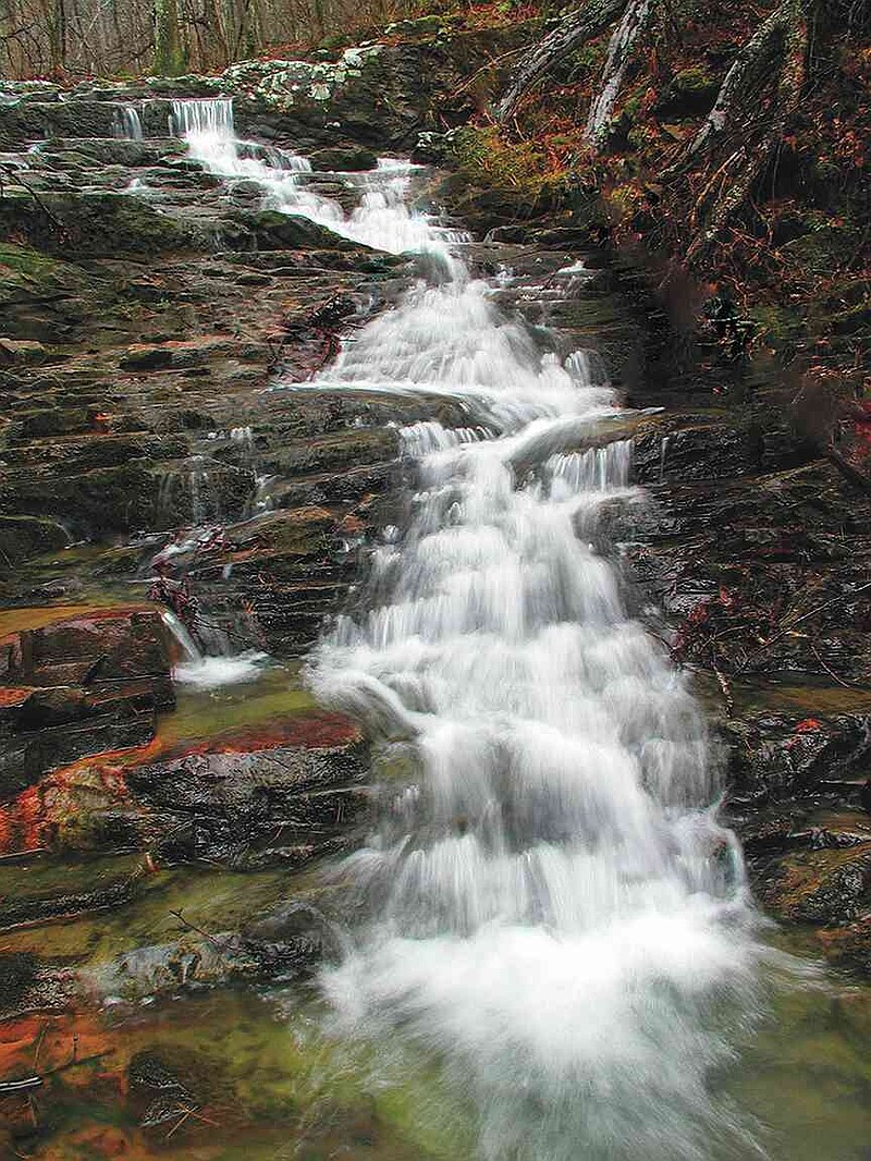 ARKANSAS WILDERNESS AREAS: Flatside Wilderness Area was saved from ...