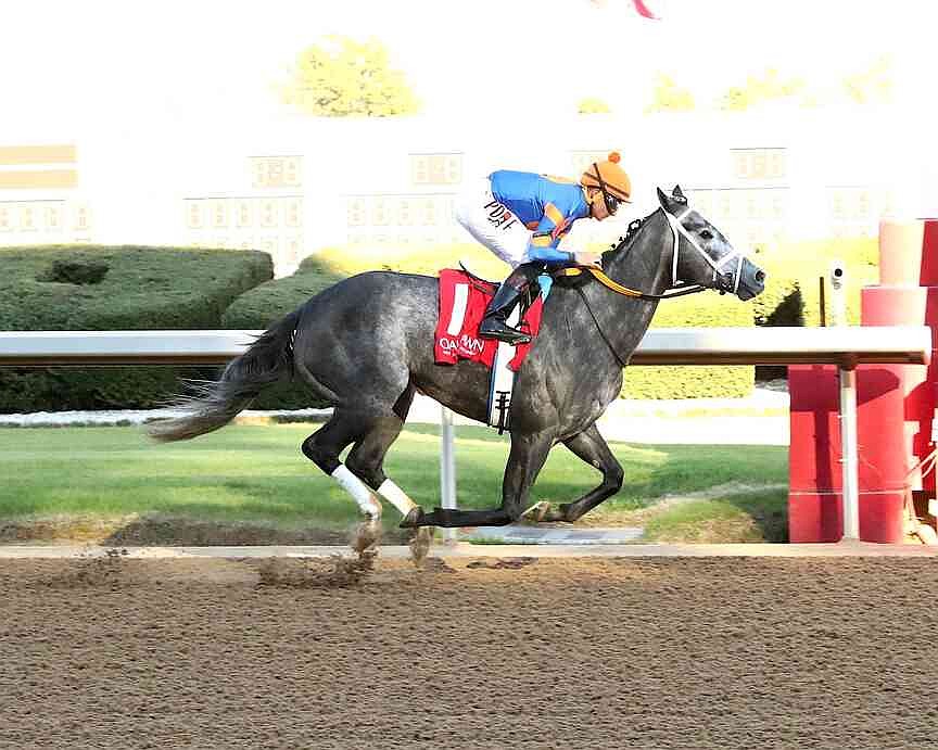 Filly Haulin Ice targets Arkie earnings record | Hot Springs Sentinel ...