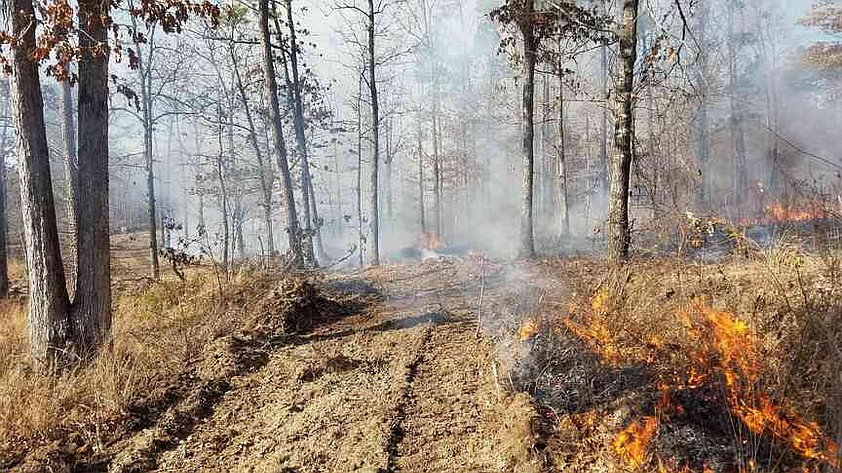Firebreaks are a major tool for battling blazes | Pine Bluff Commercial ...
