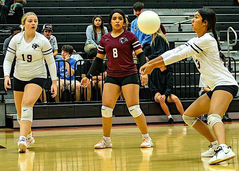 Gravette records win, Decatur and Gentry, losses on volleyball court ...