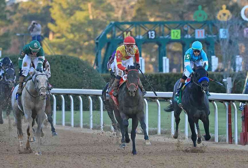 Mystik Dan, Coal Battle return to graded ranks | Hot Springs Sentinel ...
