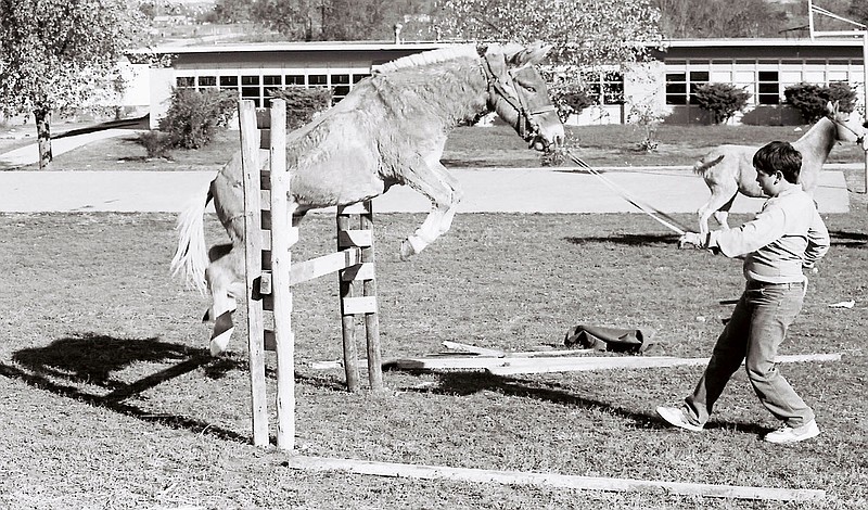 The Pea Ridge Mule Jump derived from fall coon huntingMule jump derived ...