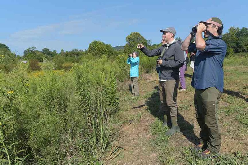For the birds: Winged friends flock to River Commons nature preserve in ...