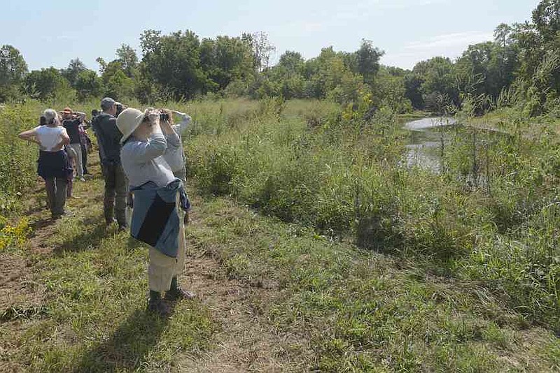 For the birds: Winged friends flock to River Commons nature preserve in ...