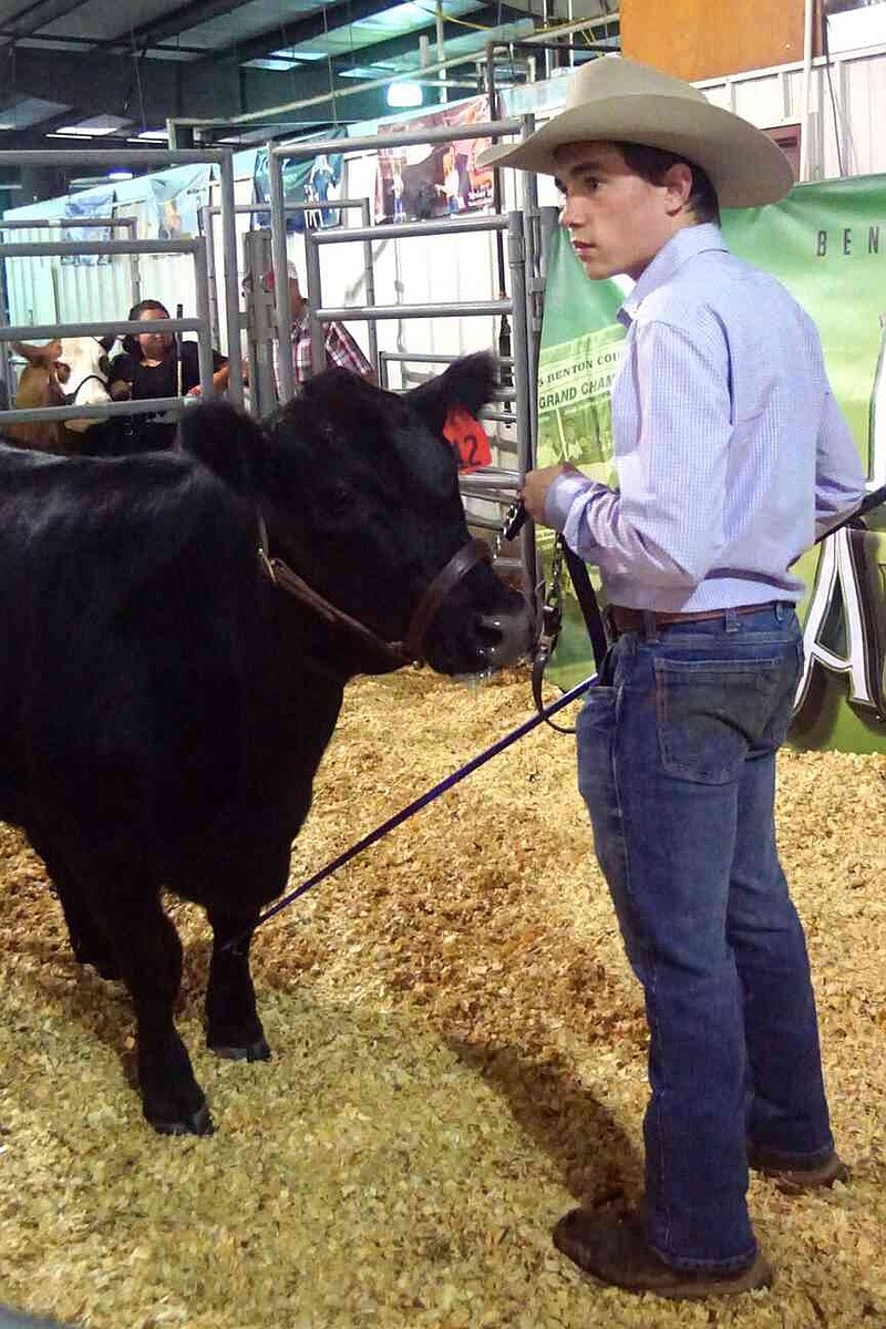 Cattle | Westside Eagle Observer
