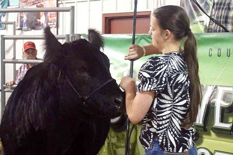 Cattle | Westside Eagle Observer