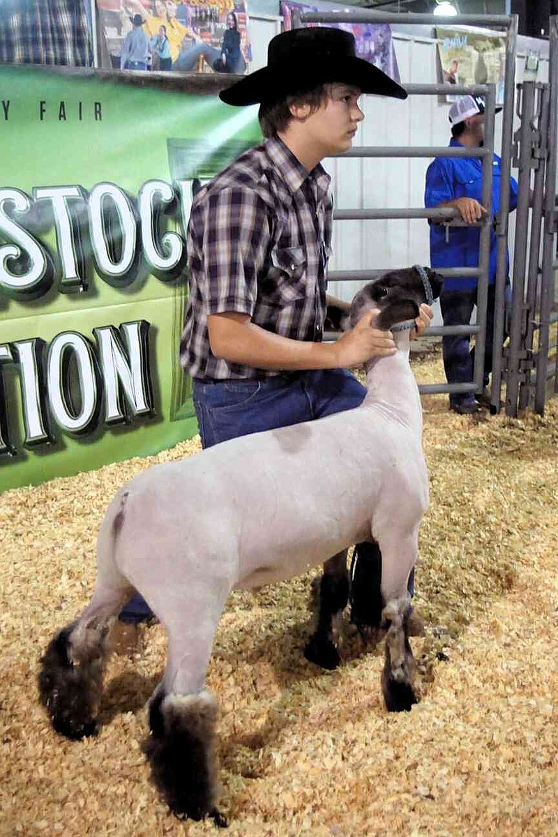 Sheep | Westside Eagle Observer