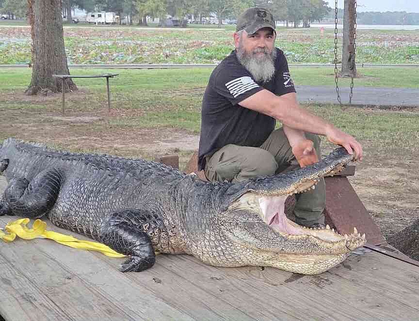 2025 alligator season sets harvest record | Hot Springs Sentinel Record