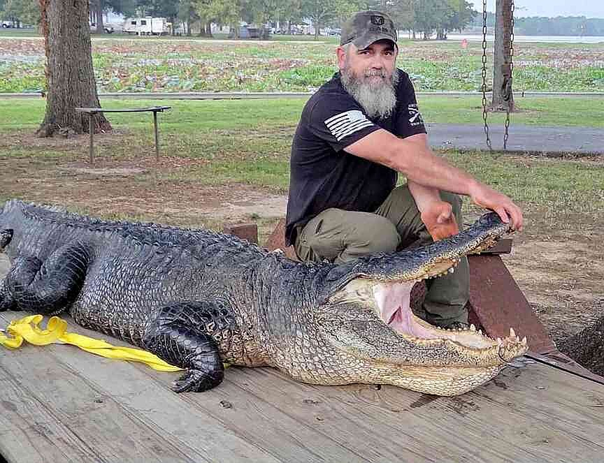 Arkansas’ gator harvest sets record | The Arkansas Democrat-Gazette ...